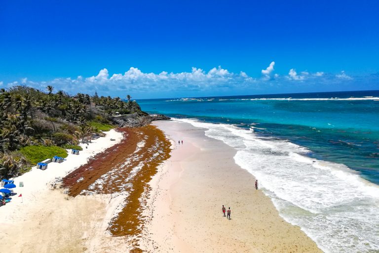 Barbadosas – lankytinos vietos, paplūdimiai, kelionė ir ką pamatyti